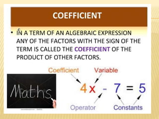 Identifying parts of algebraic expressions | PPTX