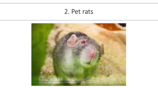 TNC21 WEEK 2- Identifying Parts of a Whole.pptx