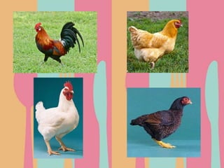 Identifying poultry and Game | PPTX