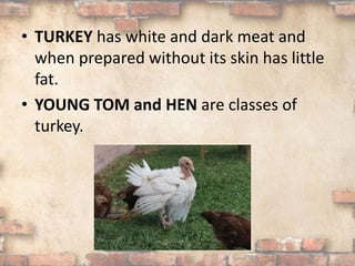 Identifying poultry and Game | PPTX