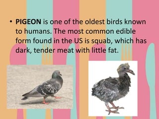 Identifying poultry and Game | PPTX