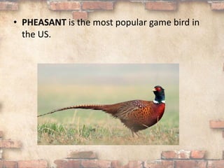 Identifying poultry and Game | PPTX