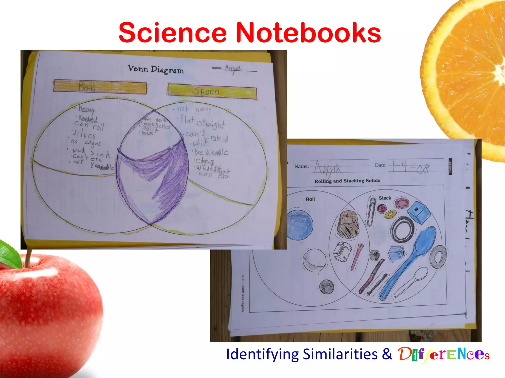 Identifying Similarities & Differences | PDF