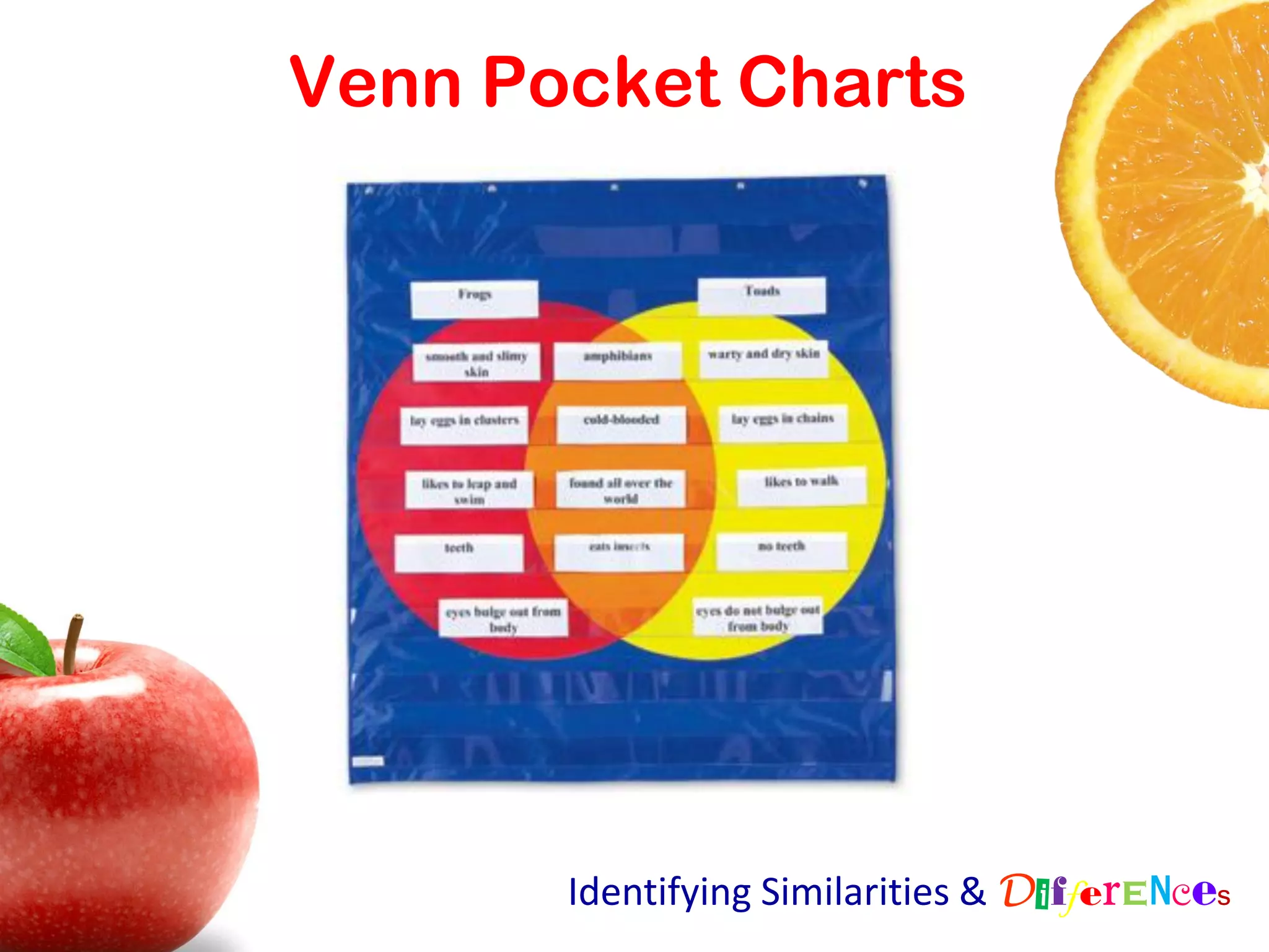 Identifying Similarities & Differences | PDF
