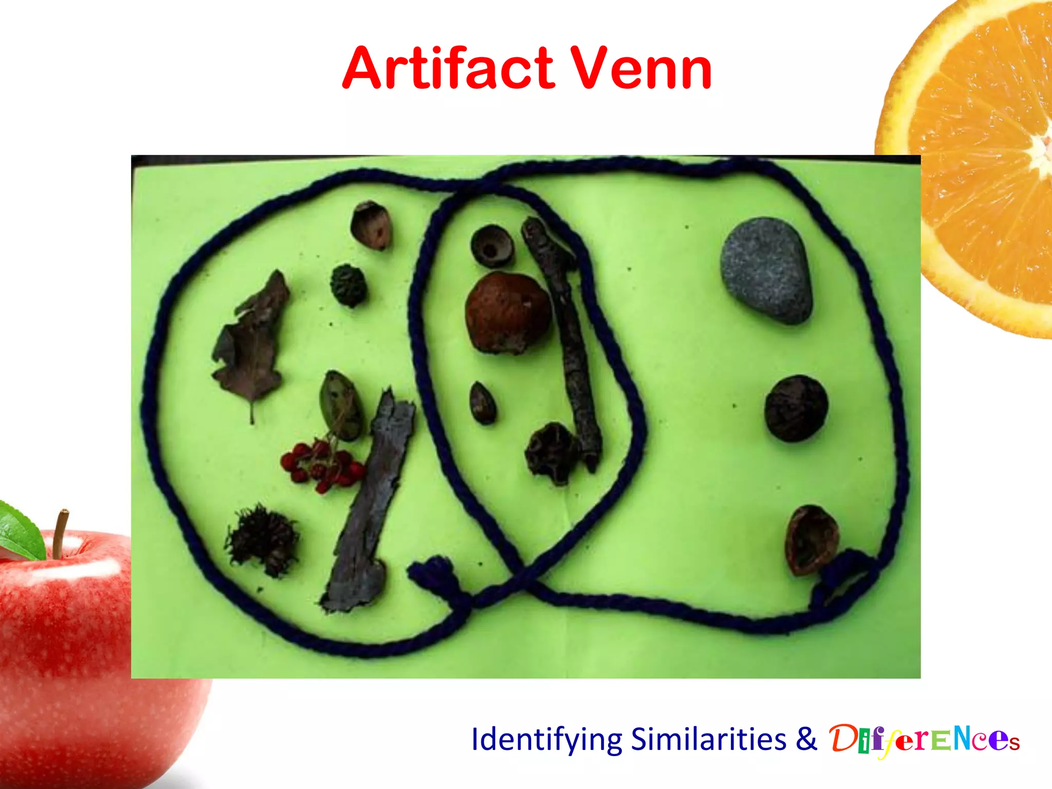 Identifying Similarities & Differences | PDF