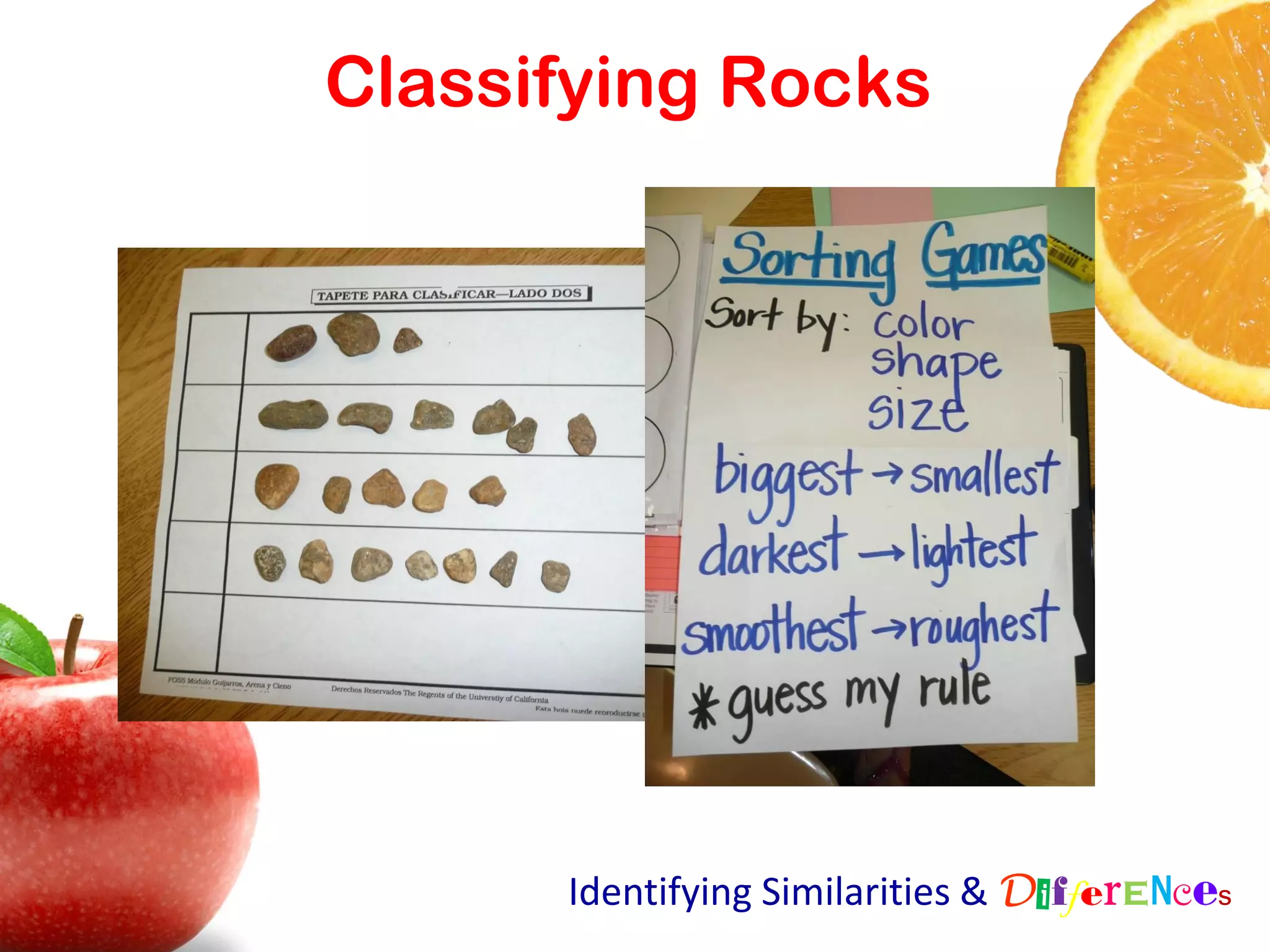 Identifying Similarities & Differences | PDF