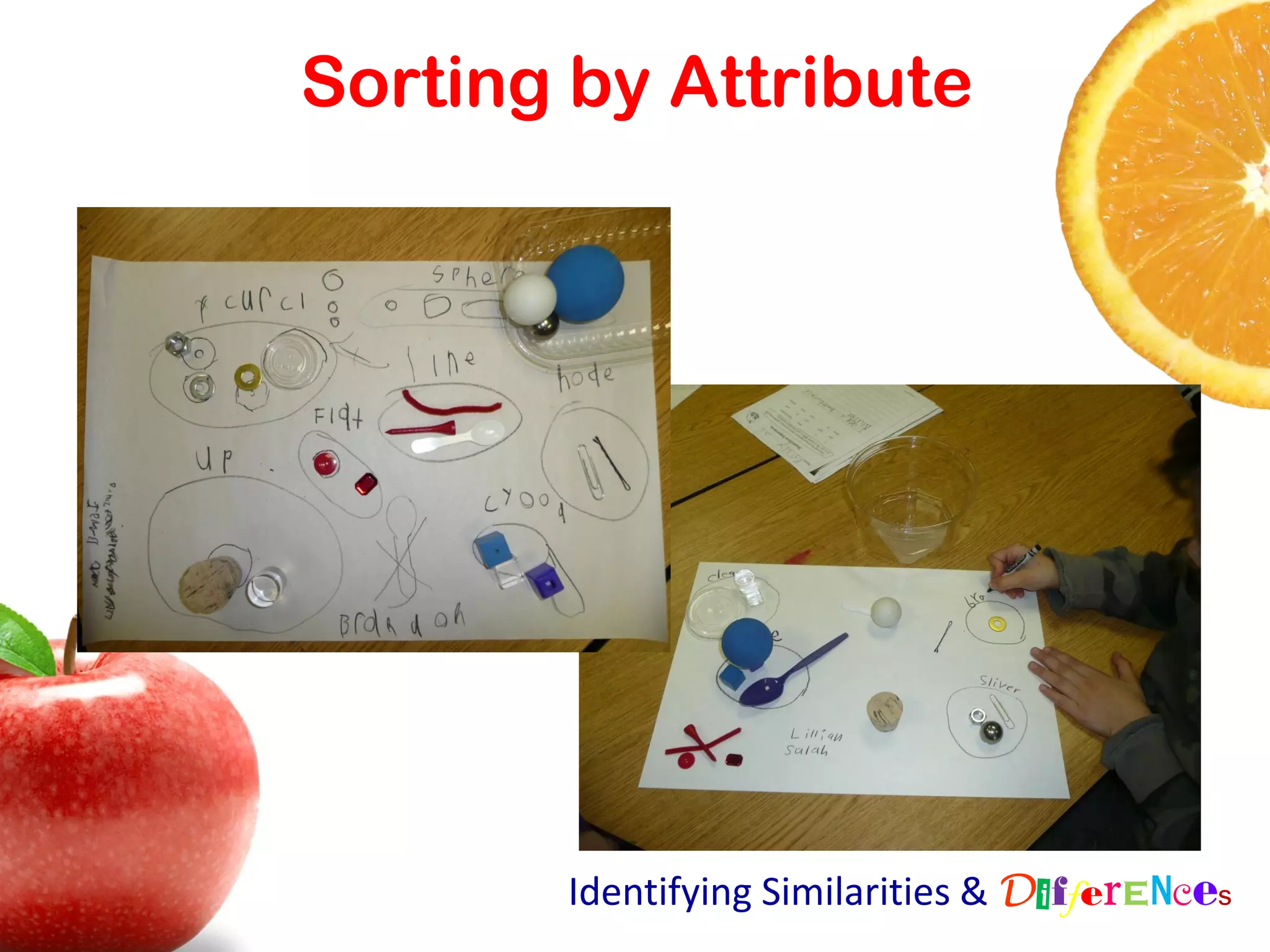 Identifying Similarities & Differences | PDF