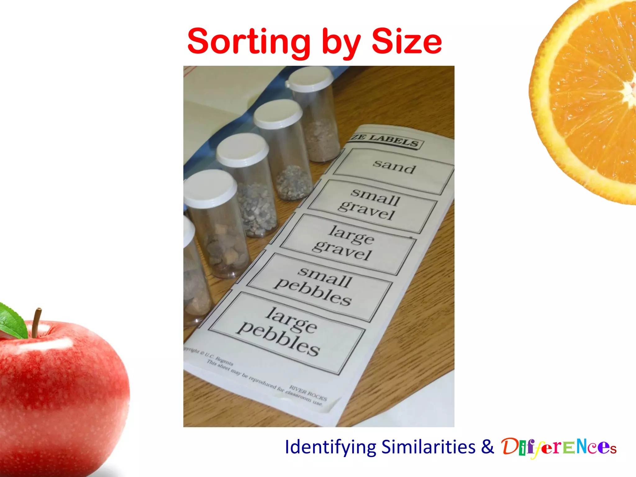 Identifying Similarities & Differences | PDF