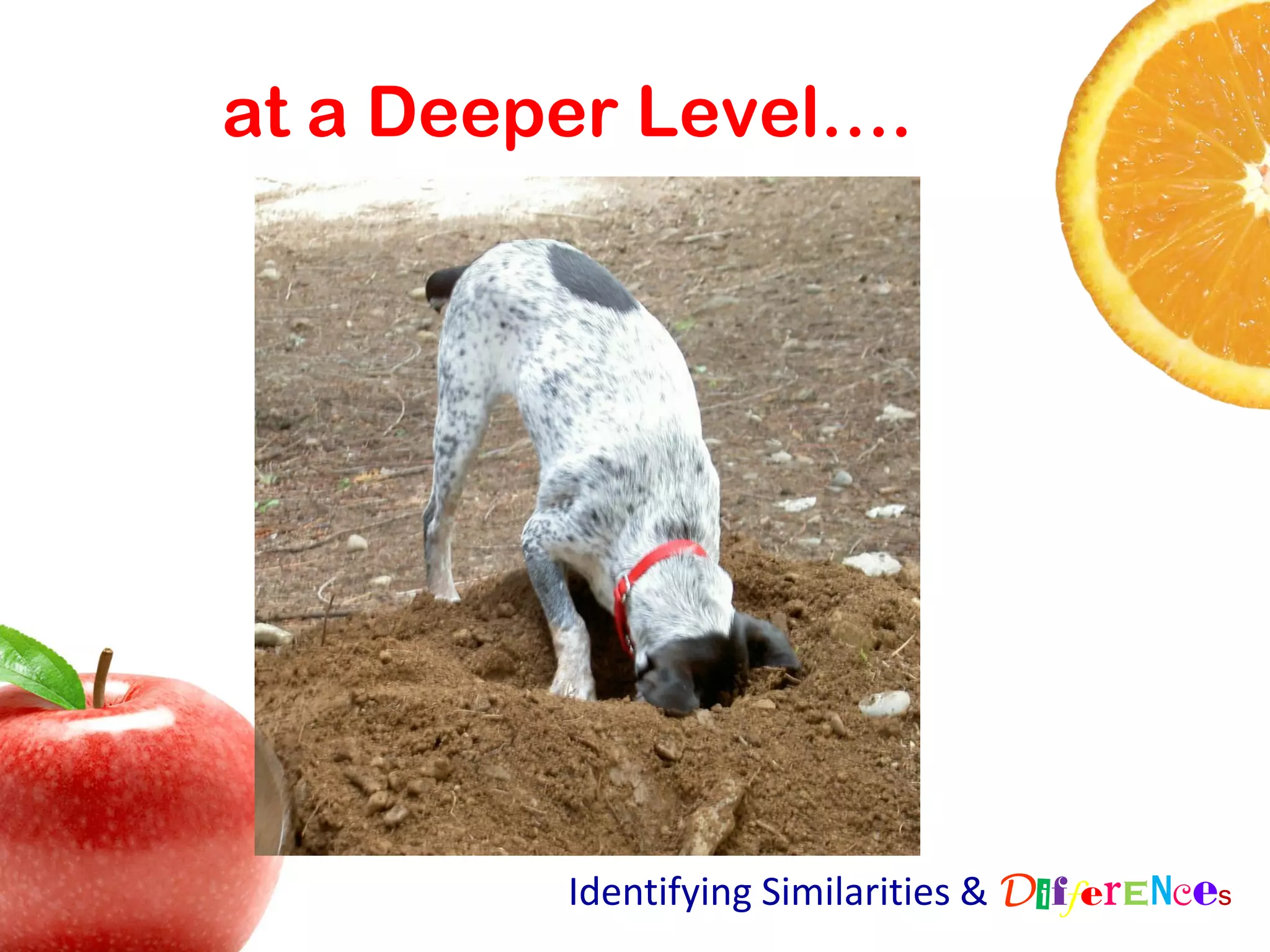 Identifying Similarities & Differences | PDF