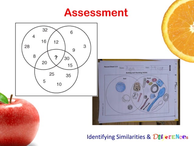 Identifying Similarities & Differences | PDF | Educational Assessment ...