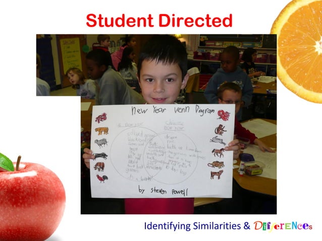 Identifying Similarities & Differences | PDF | Educational Assessment ...