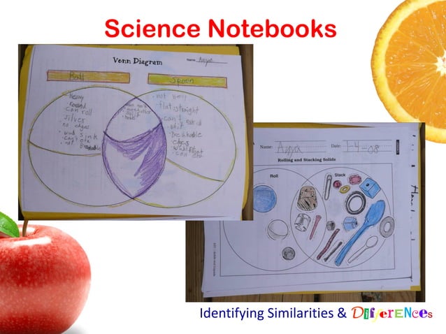 Identifying Similarities & Differences | PDF | Educational Assessment ...