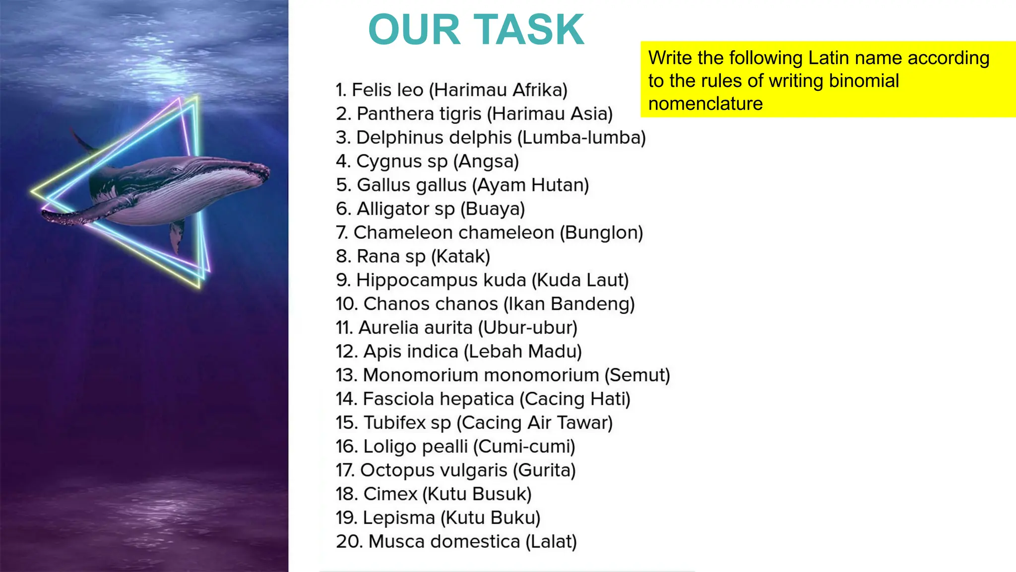 identifying species binomial nomenclature.pptx