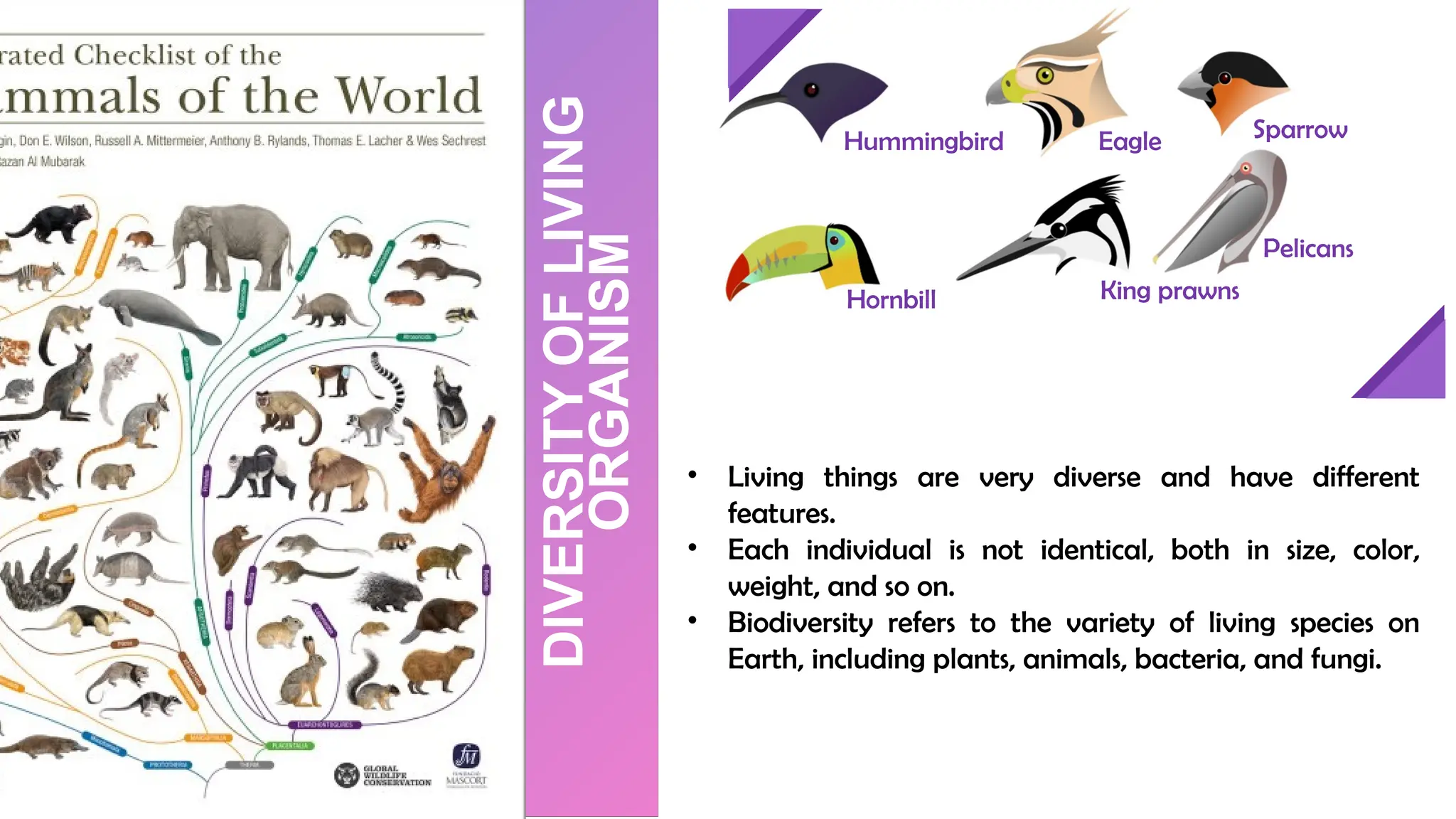 identifying species binomial nomenclature.pptx