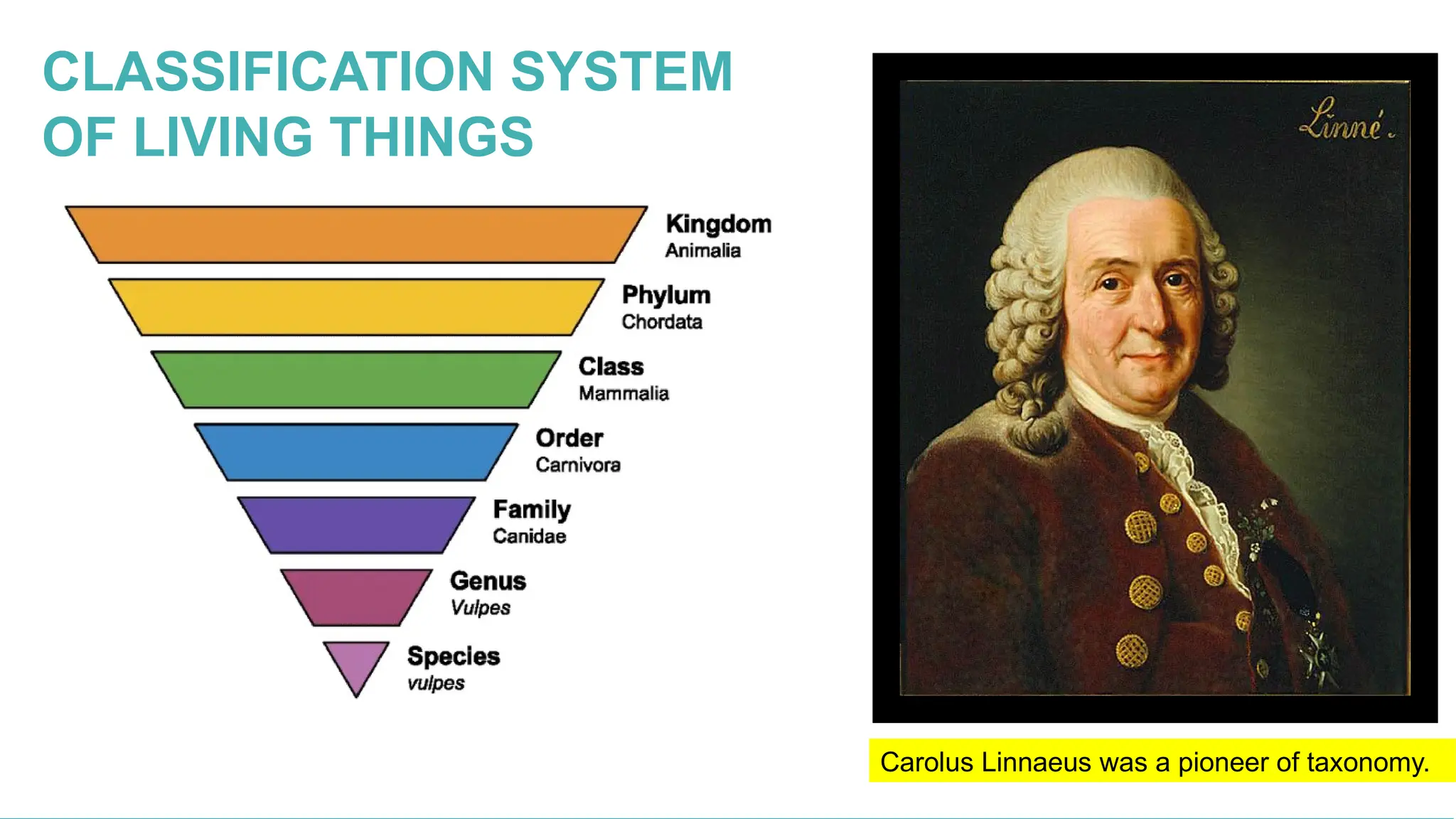 identifying species binomial nomenclature.pptx