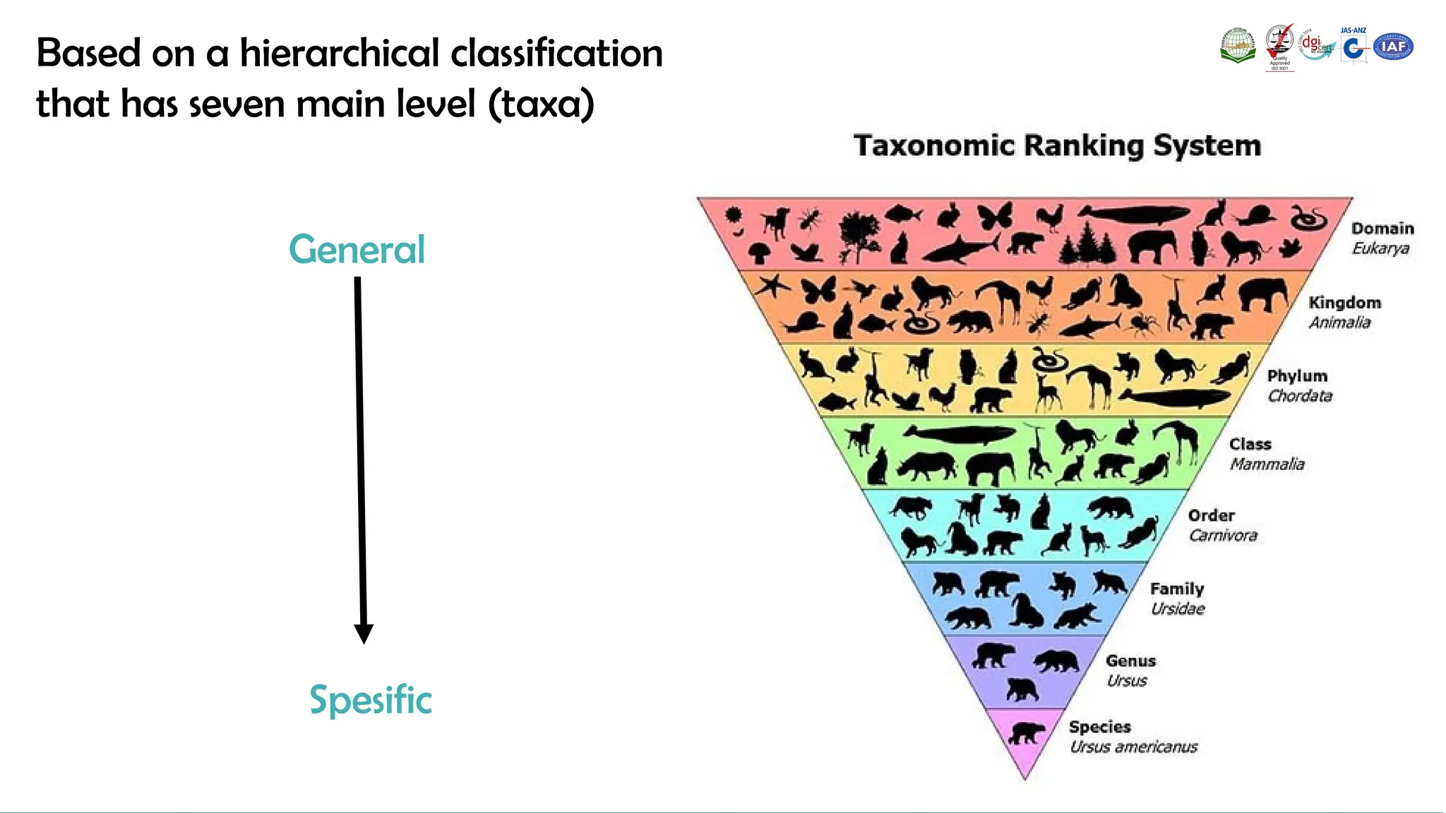 identifying species binomial nomenclature.pptx