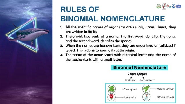 identifying species binomial nomenclature.pptx