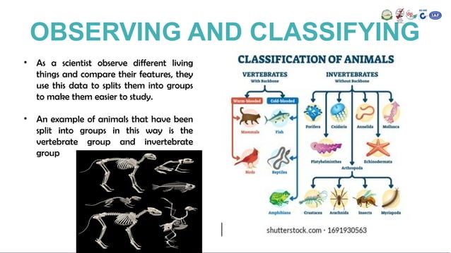 identifying species binomial nomenclature.pptx