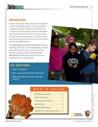 Identifying Species Educator\'s Resource | PDF