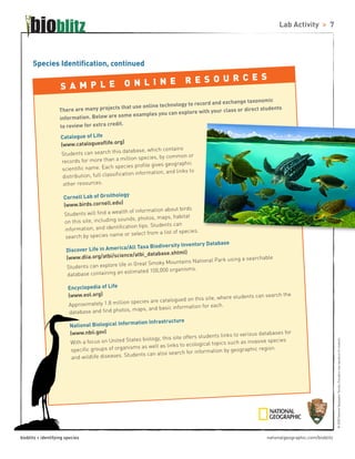 Identifying Species Educator\'s Resource | PDF