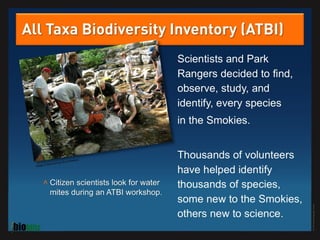 BioBlitz Educator Resource: Identifying Species | ZIP