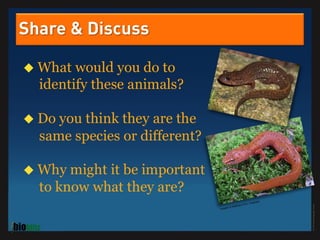 BioBlitz Educator Resource: Identifying Species | ZIP | Biological ...