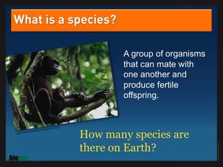 BioBlitz Educator Resource: Identifying Species | ZIP | Biological ...