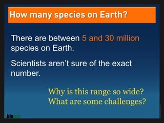 BioBlitz Educator Resource: Identifying Species | ZIP | Biological ...