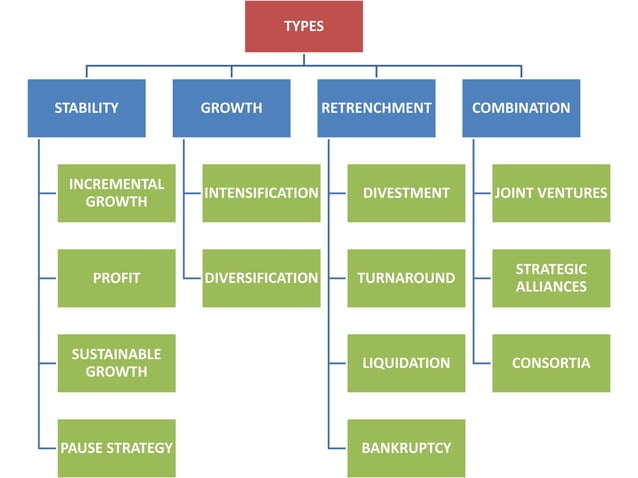 Identifying strategic alternatives | PPTX | Business | Business and Finance