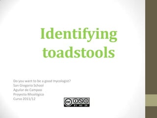 Identifying toadstools presentation | PPTX | Science