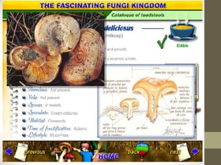 Identifying toadstools presentation | PPTX | Science