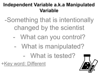 Identifying Variables | PPTX