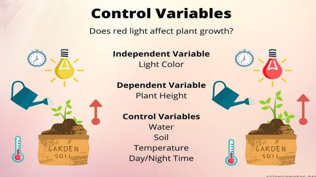 Identifying Variables and problem solving technique.pptx