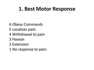 Identify stages of patient assessment | PPTX
