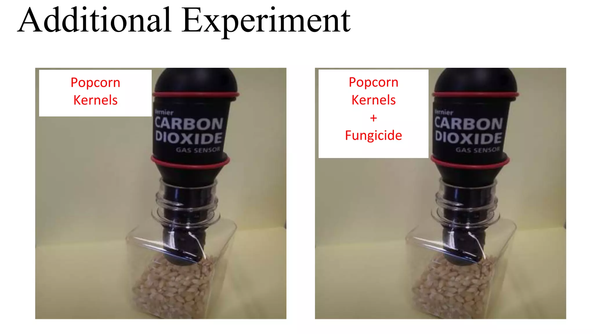 Identify traits of living things 2 | PPTX | Gardening | Home & Garden