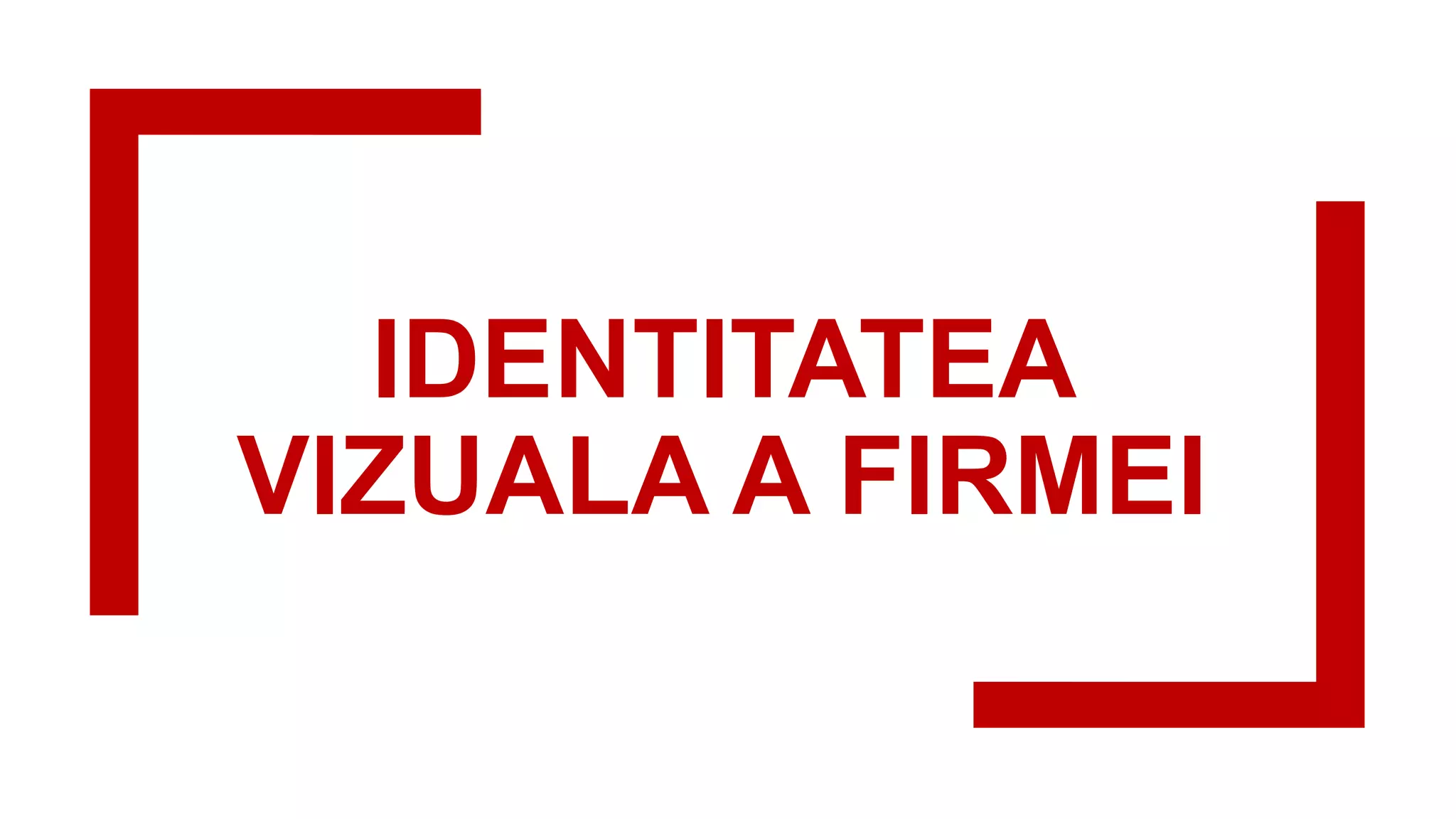 identitatea vizuala.pptx