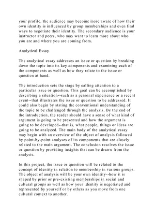 Identity and Representation You will write an analytical essay that.docx