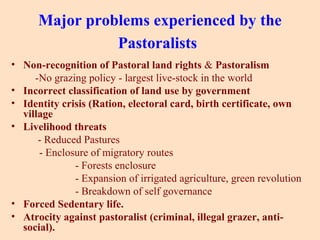 Identity & Current Status of Nomadic Sedentary Pastoral Tribes | PPT