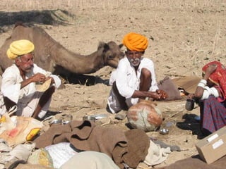 Identity & Current Status of Nomadic Sedentary Pastoral Tribes | PPT