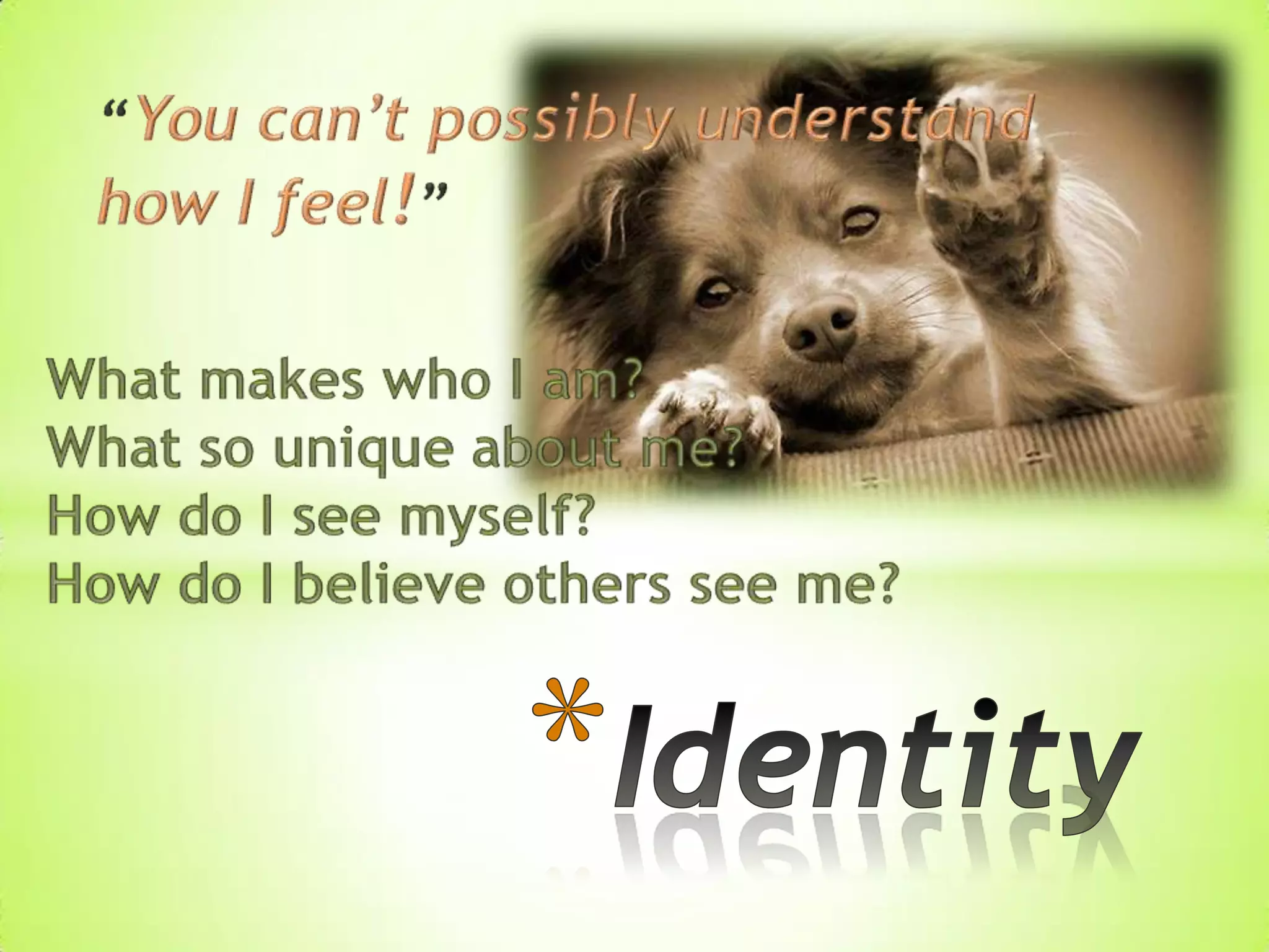 Identity ppt | PPTX