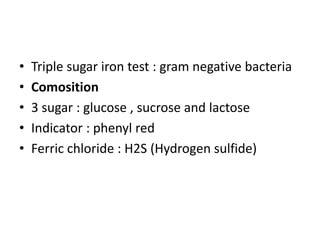 Identofocation of bacteria | PPT