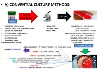 Identofocation of bacteria | PPT