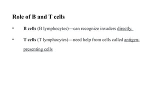 identification of self and non self.pptx