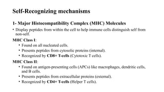 identification of self and non self.pptx