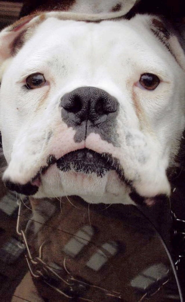 Ideo method-cards | PDF