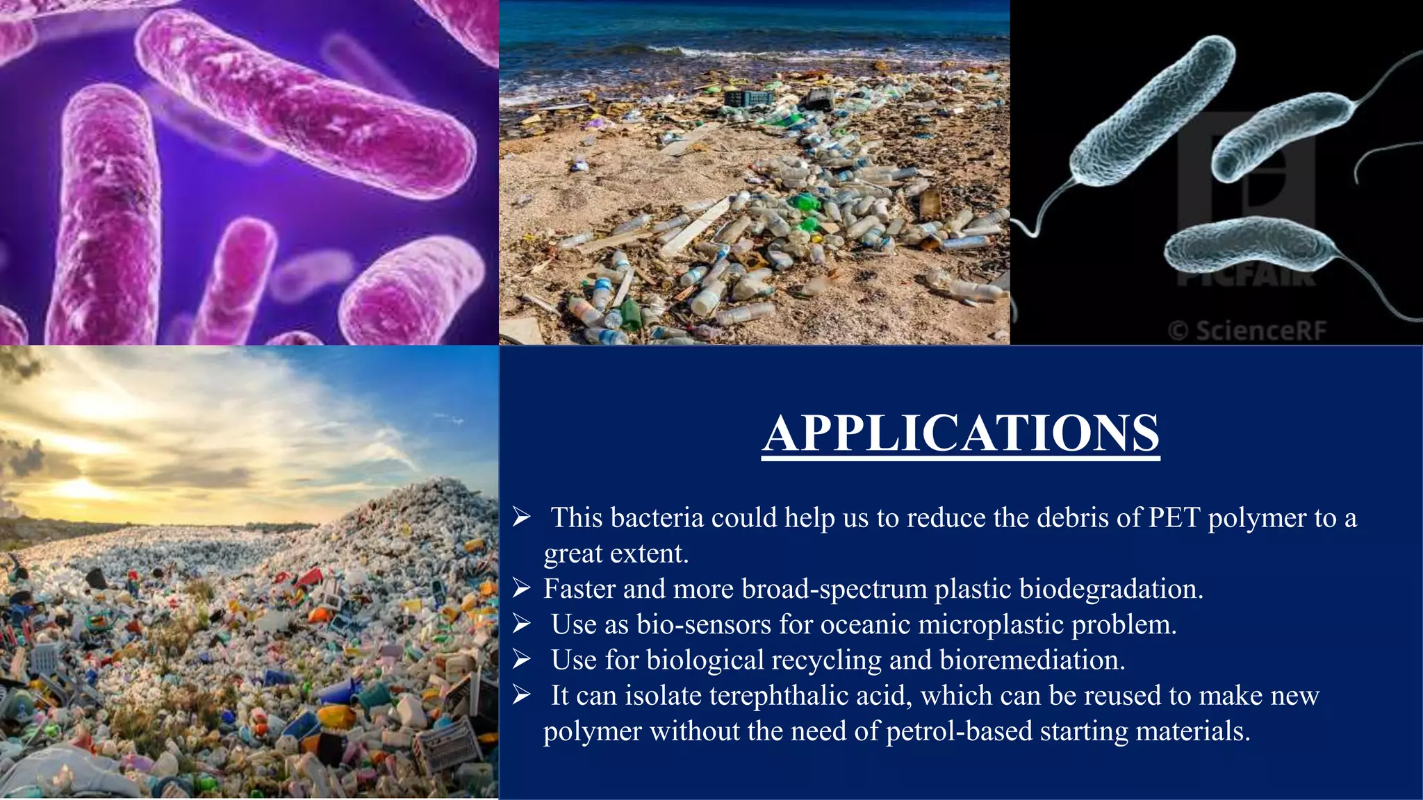 Plastic eating bacteria - Ideonella sakaiensis | PPTX