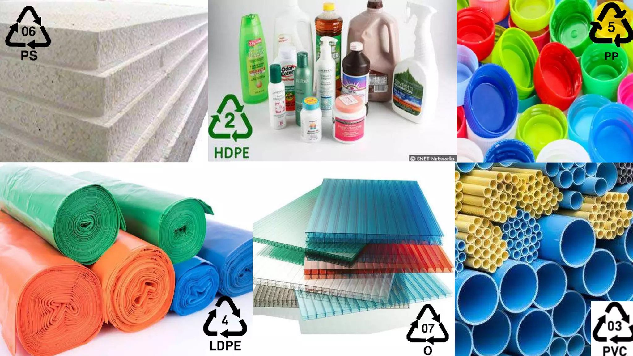 Plastic eating bacteria - Ideonella sakaiensis | PPTX