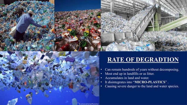 Plastic eating bacteria - Ideonella sakaiensis | PPTX