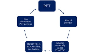 Plastic eating bacteria - Ideonella sakaiensis | PPTX
