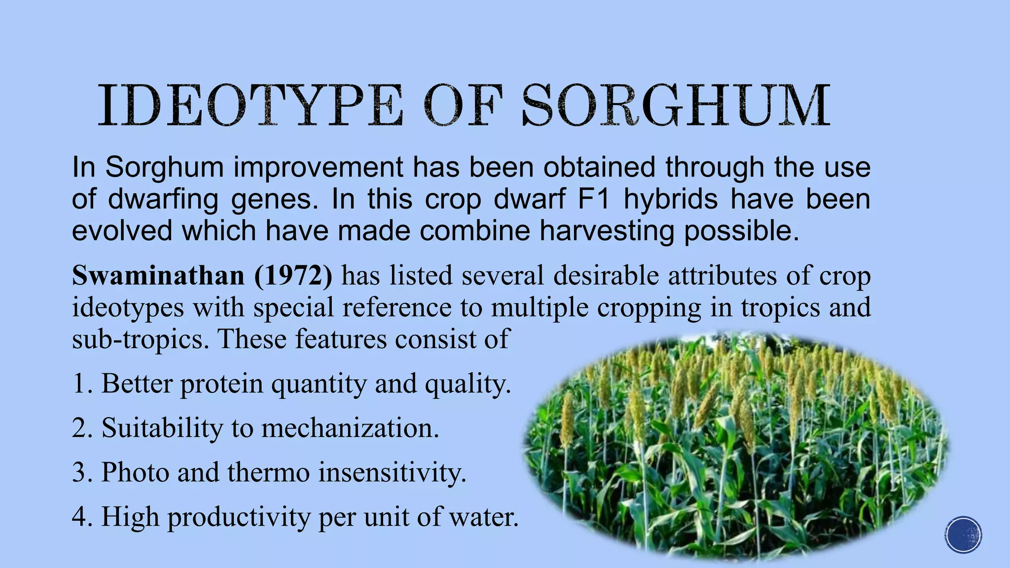 IDEOTYOE OF CROPS.pptx